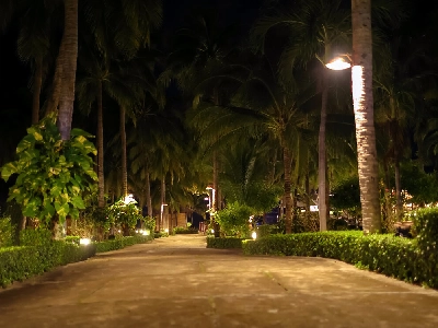 Blue Ocean Resort Mũi Né – Khu Nghỉ Dưỡng Biển Giữa Trung Tâm Mũi Né